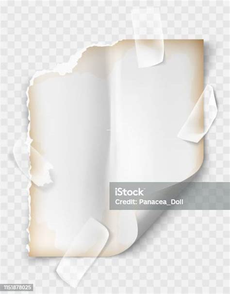 테이프와 노트북 종이의 현실적인 세트 빈티지 찢어진 시트 0명에 대한 스톡 벡터 아트 및 기타 이미지 0명 3차원 형태 갈색 Istock