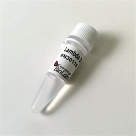 New England Biolabs Inc Lambda Dna 250 µg Quantity Each Of 1 New England Biolabs Inc Lambda Dna 250 µg Quantity Each Of 1