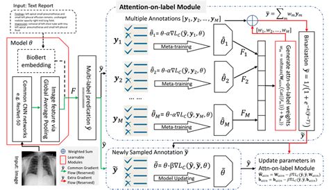 Overview Of The Proposed Attention On Label Learning Framework Download Scientific Diagram