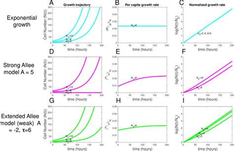 Exponential Growth Biology