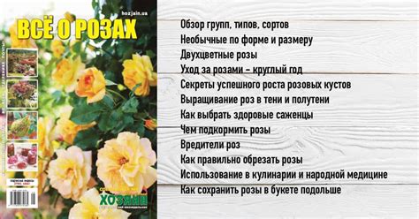 Все о розах | Хазяїн. Дім. Сад. Город