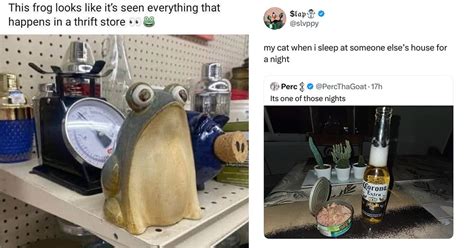 The Bro Code 25 Unwritten Rules Every Guy Secretly Follows