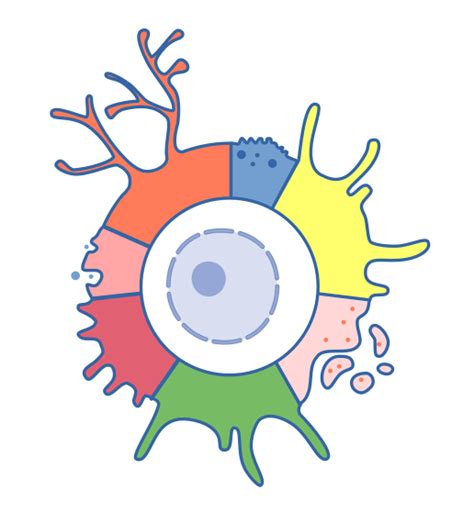 Collection For Omnideconv Logo Ideas Issue Omnideconv Omnideconv GitHub