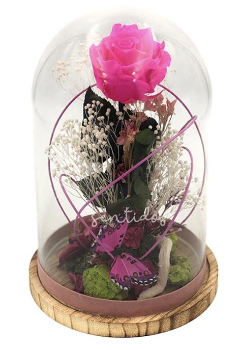 Las Rosas Y Su Significado Según Su Color Regala Sentidos