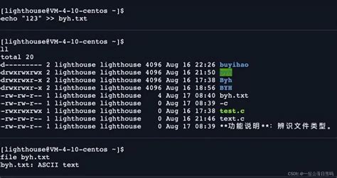 详解shell 运行原理及linux权限 知乎