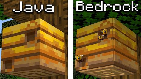 Java Vs Bedrock YouTube