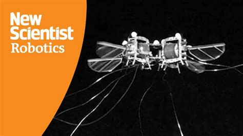 Tiny Insect Inspired Robot Can Perform Death Defying Acrobatics Chuck R