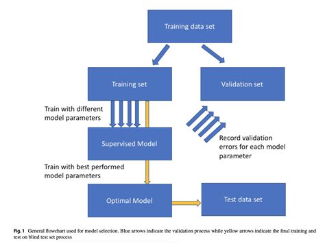 Training Dataset — коллекция фото и изображений по теме ДзенРус