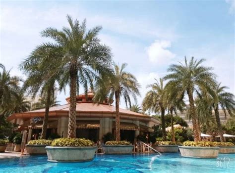 워터파크같은 어느 호텔의 수영장 인스티즈instiz 이슈 카테고리