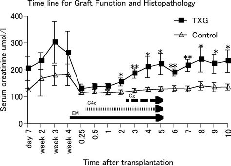 Top Panel Peritubular Capillary From A Patient In Control Group