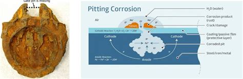 General And Pitting Corrosion 56 Download Scientific Diagram