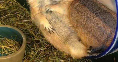 Love Comes In All Different Shapes And Sizes Imgur