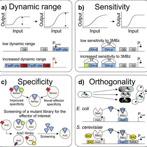 Principles For The Architecture Of Transcription Factor Based Download Scientific Diagram