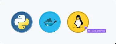 Free Linux DevOps Cybersecurity Labs LabEx