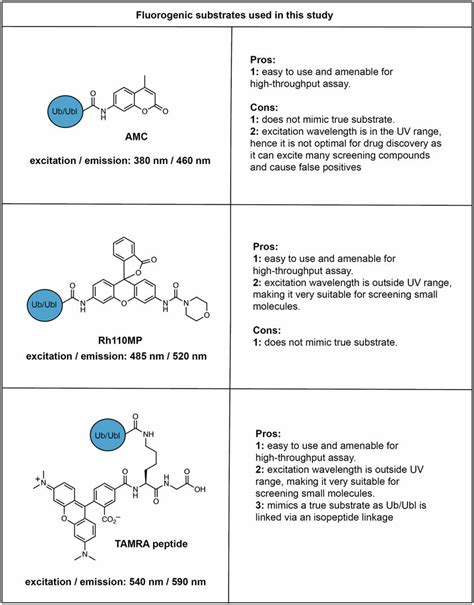 Fluorophore Substrates Used In This Chapter The Chemical Structures Of