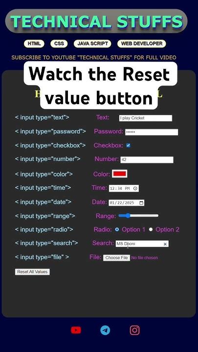 Inputs In Html Using Css With Reset Values Html Javascript Youtube