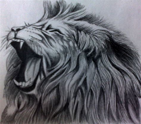 Roaring Lion Sketch At Explore Collection Of