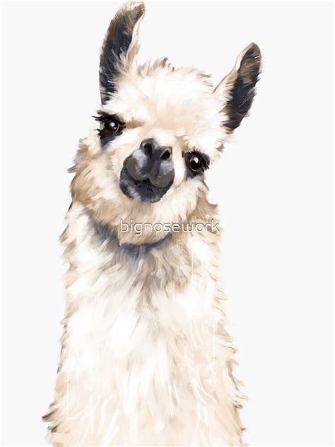 Llama Sticker By Bignosework Redbubble