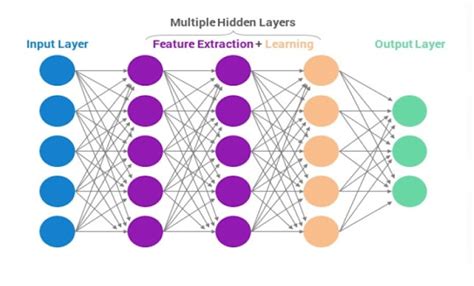 Computer Vision Deep Learning Cnn Yolo And Opencv Projects By Naveed957 Fiverr