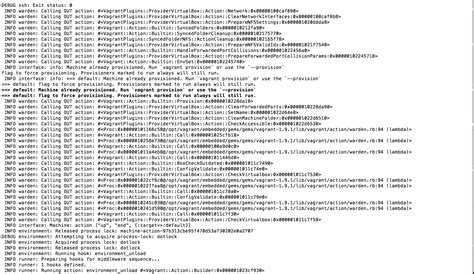 Virtualbox Configuration Issue With Openshift3 Originall In One Vagrant Cluster Setup