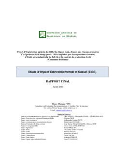 Etude DImpact Environnemental Et Social EIES RAPPORT FINAL Etude D