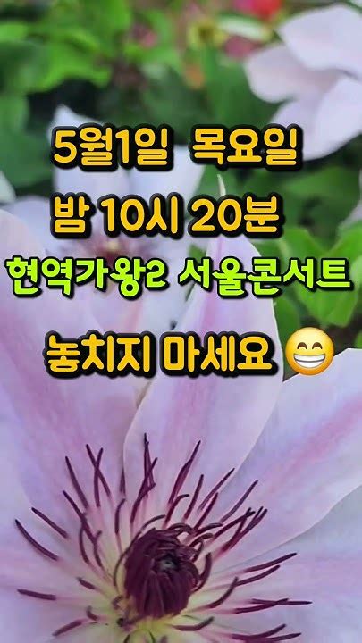 오늘밤 10시20분💙 현역가왕2 전국투어콘서트 서울본방사수 Youtube