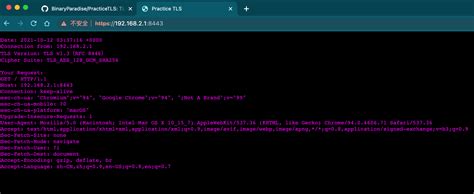 GitHub BinaryParadise PracticeTLS TLS 的swift简单实现