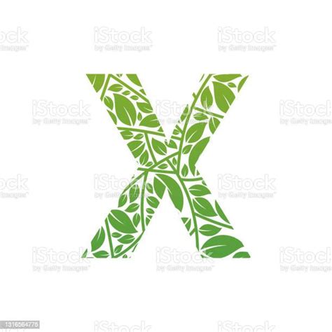 편지 X 식물 로고 템플릿 디자인 벡터 엠블럼 디자인 개념 창조적 인 기호 아이콘 0명에 대한 스톡 벡터 아트 및 기타 이미지