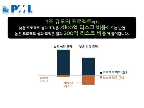 글로벌 기업 성공의 비밀 Pmo 프로젝트관리오피스project Research