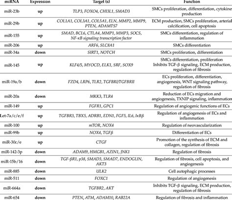 Mirnas Participated In Vascular Remodeling In Aortic Tissue Download Scientific Diagram