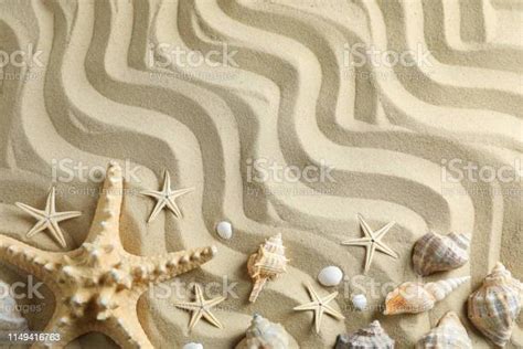 불가사리와 조개 텍스트와 평면도를 위한 공간을 가진 맑은 바다 모래 여름 방학 배경 0명에 대한 스톡 사진 및 기타 이미지 0명 골진 구도 Istock