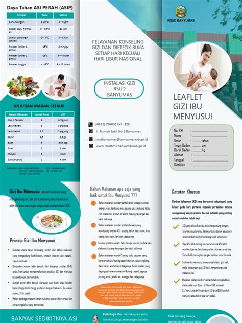 Leaflet Gizi Ibu Menyusui Pdf