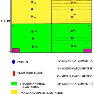 Layout Of Experimental Area Download Scientific Diagram