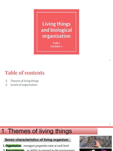 Lecture 1 Bio Pdf Biomolecules Macromolecules