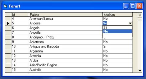 Campo Boolean En Datagrid