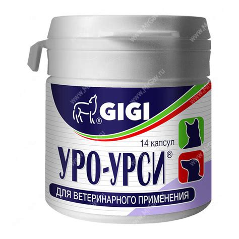Уро-Урси 1 уп 14 капсул - Интернет-зоомагазин Мистер Гав