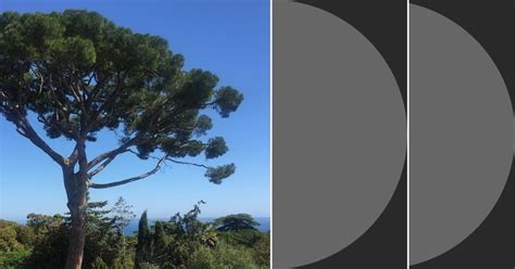 List Algorithm Curated By Chris Wan Medium