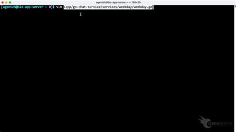 线上监控 go 应用中的程序异常（使用 openresty xray） openresty 官方博客