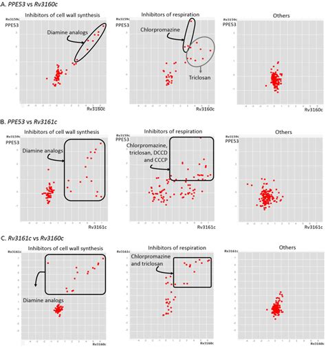 The Transcriptome Of Mycobacterium Tuberculosis In A Lipid Rich