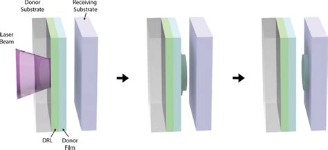 Schematic Illustration Of Lift With A Dynamic Release Layer Drl The