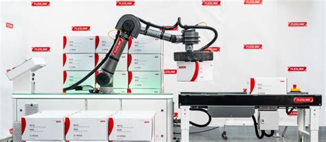Automated Conveyor Systems Flexlink