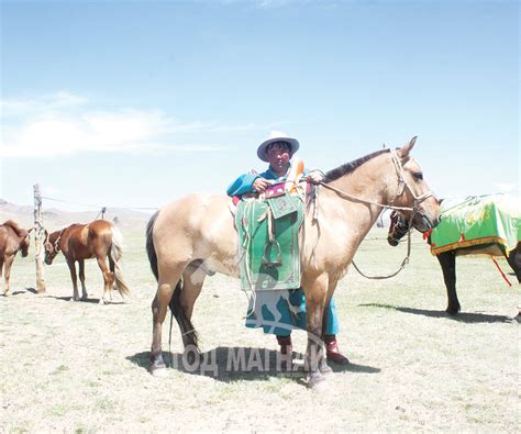 Сумын Алдарт уяач Ч Батсүх Гурван жил сумынхаа шилдэг уяачаар шалгарлаа