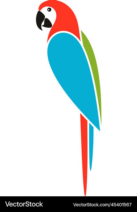 parrot macaw royalty free vector image vectorstock