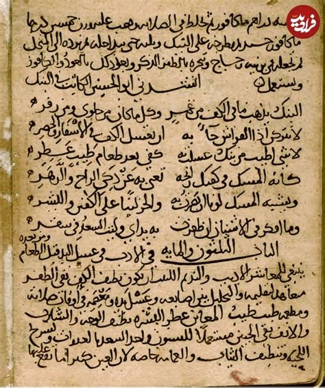 ابن سینا و زکریای رازی چه نظری دربارۀ قهوه داشتند؟ عکس