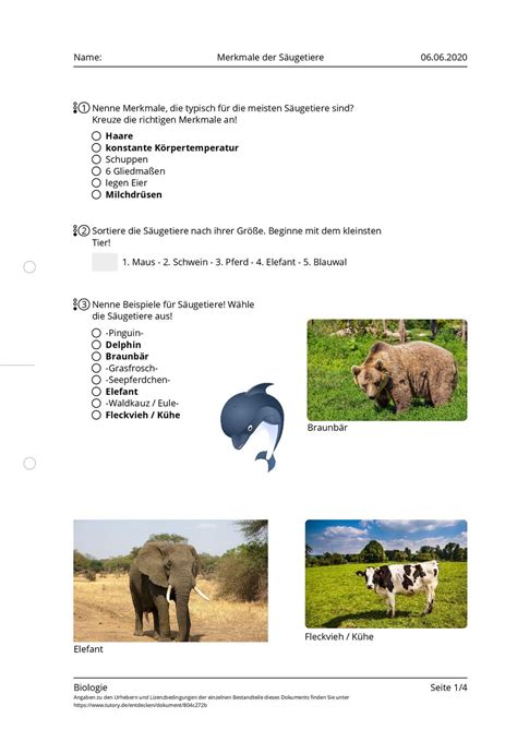 Arbeitsblatt Merkmale Der Säugetiere Biologie Tutoryde Arbeitsblatt Merkmale Der Säugetiere Biologie Tutoryde
