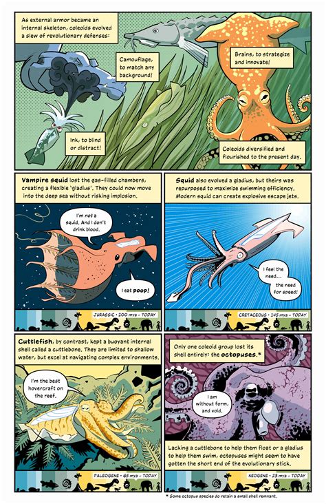 How The Octopus Lost Its Shell Octopus Comic Octonation The