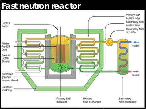 Exams And Me Fast Neutron Reactor