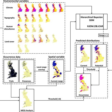 Schematic Diagram Of The Modelling Process Download Scientific Diagram