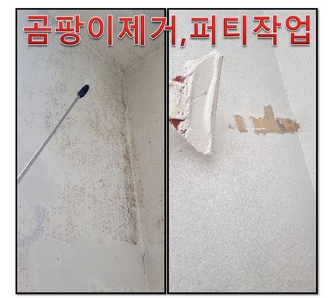 탄성코트로 베란다 벽 결로 벽 곰팡이 막을 수 있을까요인천 곰팡이제거 연수구 벽 곰팡이제거 옥련동 아파트 베란다 탄성코트 곰팡이 제거 결로 곰팡이 방지 단열페이트 가이나