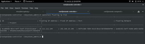 Openstack Launch An Instance Via Cli Part Vii Manage Floating Ip